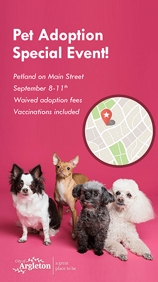 Get The Most Out Of Your Kiosk With Screensavers - DynaTouch News